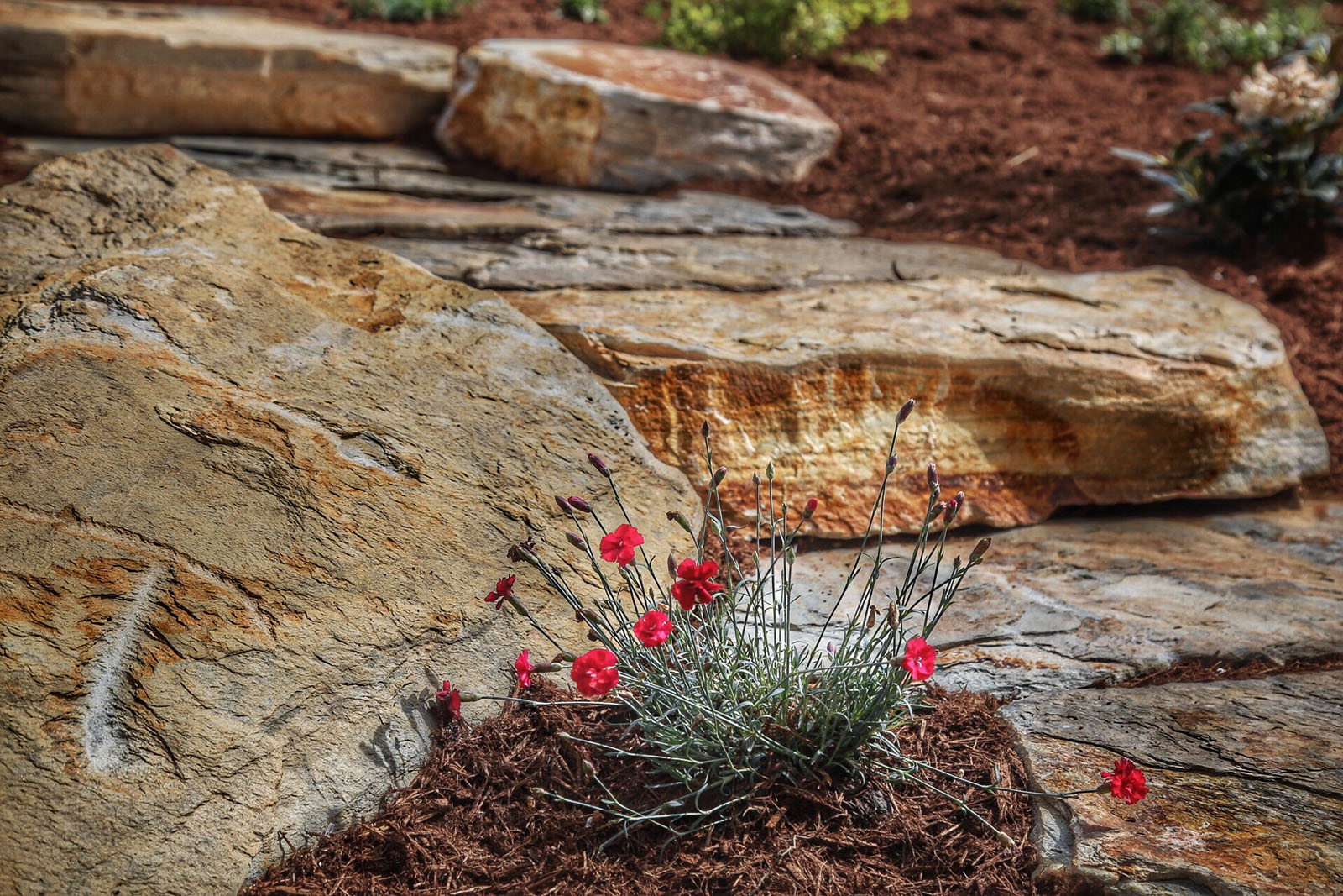 Boone NC Landscape Design | Boone NC Lawn Care | Clean Cut Boone